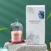 China Aromatherapy Party Glass Candle Holder Home Decoration Christmas Candle Jar for sale