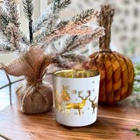 China Customized Frosted Glass Candle Holder For Christmas for sale