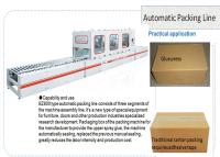 China 800mm Fully Automatic Carton Box Case Packing Line 200-1000mm 5-6 Pieces/M for sale