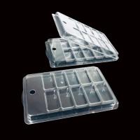 China Custom PET Clamshell Packaging for Nail Art 10 Compartment for sale