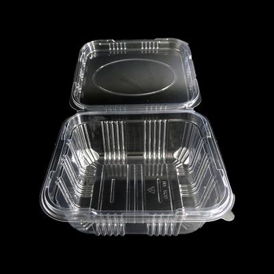 China Custom Food-Grade PET Clamshell Packaging for Fruits and Snacks for sale