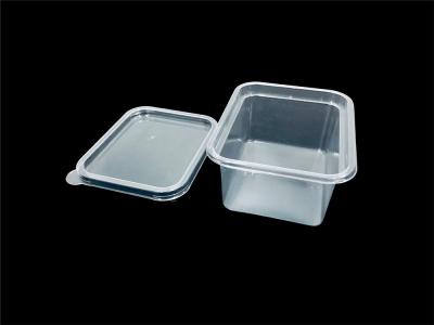 China Custom PET Plastic Blister Packaging Tray with Lid for sale