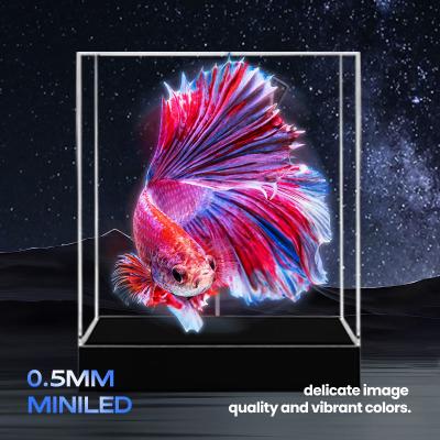 China Customized Service 3D Hologram Fan LED Display Technology 5V 3A Input Voltage Resolution Display for sale