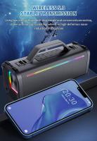 China LX68C 80W Portable Karaoke Speaker with 2 Wireless Microphones, Bluetooth 5.3 and 6000mAh Battery for Outdoor Parties for sale