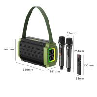 China Model 4120 HIFI Sound KTV Bluetooth Speaker with 2 Wireless Microphones and LED Lights for sale
