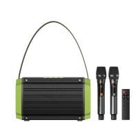 China Model 4120 HIFI Sound KTV Bluetooth Speaker with 2 Wireless Microphones and LED Lights for sale
