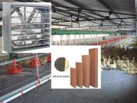 China Plastic Cooling Pad Wall Water Curtain Cellulose Paper - 100mm/150mm Thickness, 80% Efficiency for Chicken Houses for sale