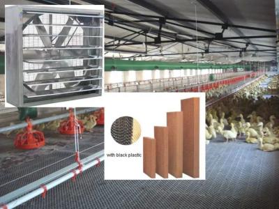 China Plastic Cooling Pad Wall Water Curtain Cellulose Paper - 100mm/150mm Thickness, 80% Efficiency for Chicken Houses for sale