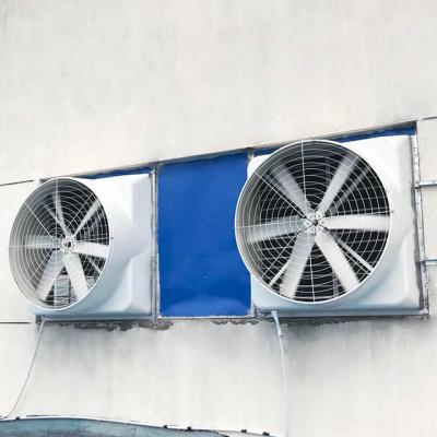 China FRP Axial Exhaust Fan with Oil-Impregnated Bearing - 63000 m³/h Airflow, 1100W Power for Poultry House Ventilation for sale