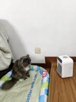 China Portable Pet Spray Cooling Fan 500ml USB Evaporative Air Cooler for Dogs Cats Kennel for sale