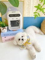 China Portable Pet Spray Cooling Fan 500ml USB Evaporative Air Cooler for Dogs Cats Kennel for sale