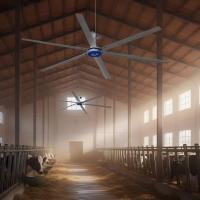 China High Volume Low Speed Ceiling Fan For Industrial Spaces 3.5m for sale