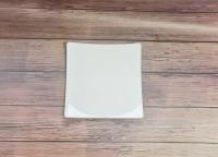China High Temperature PET Buffet Plate Size S 20x20x1.2cm Wear Resistant Microwave Safe for sale