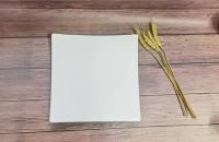China White High Temperature PET Buffet Plate Size M 25.3 x 25.3 x 1.8cm Microwave Oven Safe for sale