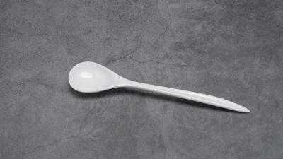 China High Temperature PET Tableware Scoop 19.4 x 4 cm Non Toxic Tasteless Microwave Oven Safe for sale