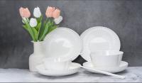 China High Temperature Resistant PET Tableware Customizable -20°C to 140°C Microwave Oven Safe for sale