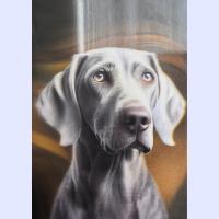 China 0.3-0.9mm 3D Lenticular Lens Sheet PET Digital Printing Custom Size 710x510mm for sale