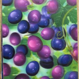 China PET 0.35mm 100LPI 3D Lenticular Sheets for Still Life Fruit Plant and Landscape Cards for sale