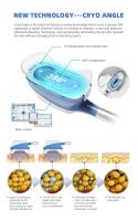China 360 Degree Cryolipolysis Slimming Machine 4 Handle Fat Freeze for sale