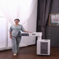 China Bone Penetrating Physiotherapy Moxibustion Instrument Open Fire Smokeless Fumigation Machine for sale