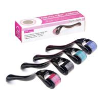 China Titanium 540 Microneedle Derma Roller , Ice Stamp Beard Derma Roller for sale