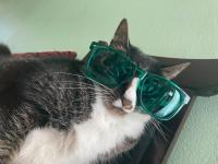 China 135x158x40mm Colour Therapy Sunglasses Translucent Green Tinted Lenses for sale