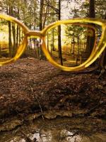 China Cat Eyes Scratch Resistant Yellow Colour Therapy Sunglasses for sale