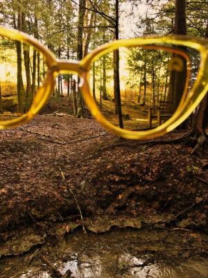 China Cat Eyes Scratch Resistant Yellow Colour Therapy Sunglasses for sale