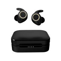 China 800mAh Voice Assistant Stereo PAU1603 TWS Earphone Wireless Earbuds for sale