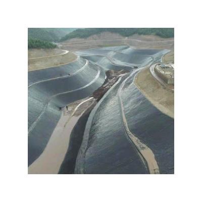 China LDPE Geomembrane Extrusion Line 0.1-3.0mm 2300-9300mm T-Die Width for sale
