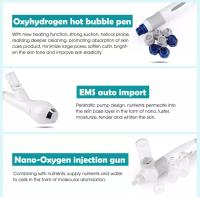 China 6 In 1 Hydrogen Oxygen Bubble Facial Beauty Machine Portable H2O2 Heating Bubble for sale