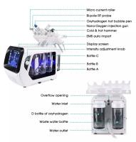 China 6 In 1 Hydrogen Oxygen Bubble Facial Beauty Machine Portable H2O2 Heating Bubble for sale