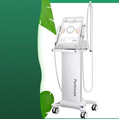 China Portable Double Handle MicroUltra Ultrasound +RF 2 In1 Ultrasound Face Lifting Machine for sale