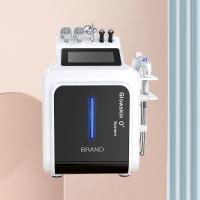 China Portable Multifunction Hydra Dermabrasion Facial Machine 10 In 1 BIO RF Lifting for sale