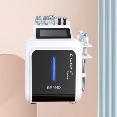 China Portable Multifunction Hydra Dermabrasion Facial Machine 10 In 1 BIO RF Lifting for sale