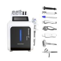 China Portable Multifunction Hydra Dermabrasion Facial Machine 10 In 1 BIO RF Lifting for sale