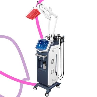 China 13 In 1 Water Oxygen Skin Rejuvenation Beauty Machine ABS For Facial Skin Care for sale