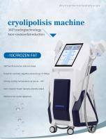 China 360 Fat Freezing Cryolipolysis Slimming Machine Dual Channel With 6 Probes for sale