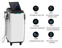 China 360 Cryolipolysis Slimming Machine Electromagnetic EMS Muscle Stimulation Machine for sale