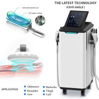 China 360 Surrounding Cooling Electromagnetic Estimulador Muscular Cryolipolysis Belly Body Sculpting Machine for sale