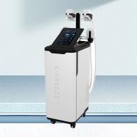 China 360 Surrounding Cooling Electromagnetic Estimulador Muscular Cryolipolysis Belly Body Sculpting Machine for sale