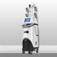 China Professional Cavitation Rf Vacuum Slimming Chin And Arm Fat Freeze Cryolipolysis Machine for sale