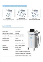 China 360 Coolsculpting Cryolipolysis Fat Freezing Machine Vacuum With 4 Cryo Handle for sale