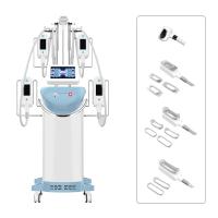 China Salon Body Cryolipolysis Slimming Machine Vacuum Fat Freezing 360 Degree for sale
