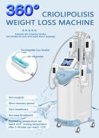 China Salon Body Cryolipolysis Slimming Machine Vacuum Fat Freezing 360 Degree for sale