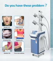 China 5 Handles 360 Surrounding Cooling Therapy Cryolipolysis Machine For Body Slimming Double Chin Removal for sale