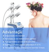 China 5 Handles 360 Surrounding Cooling Therapy Cryolipolysis Machine For Body Slimming Double Chin Removal for sale