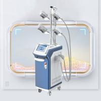 China 5 Handles 360 Surrounding Cooling Therapy Cryolipolysis Machine For Body Slimming Double Chin Removal for sale