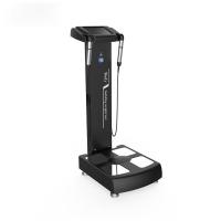 China Digital Body Fat Inbody Skin Analyzer Machine Intelligent Multi Frequency With Printer for sale