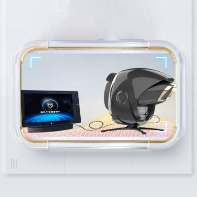 China High Pixel 3D Facial Skin Analysis Machine Skin Scope Diagnosis AI Intelligent for sale